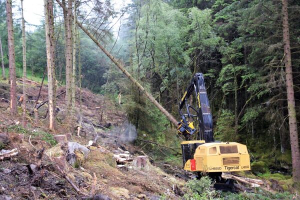 Ponsse H8, A head in the Highlands | Forest Machine Magazine