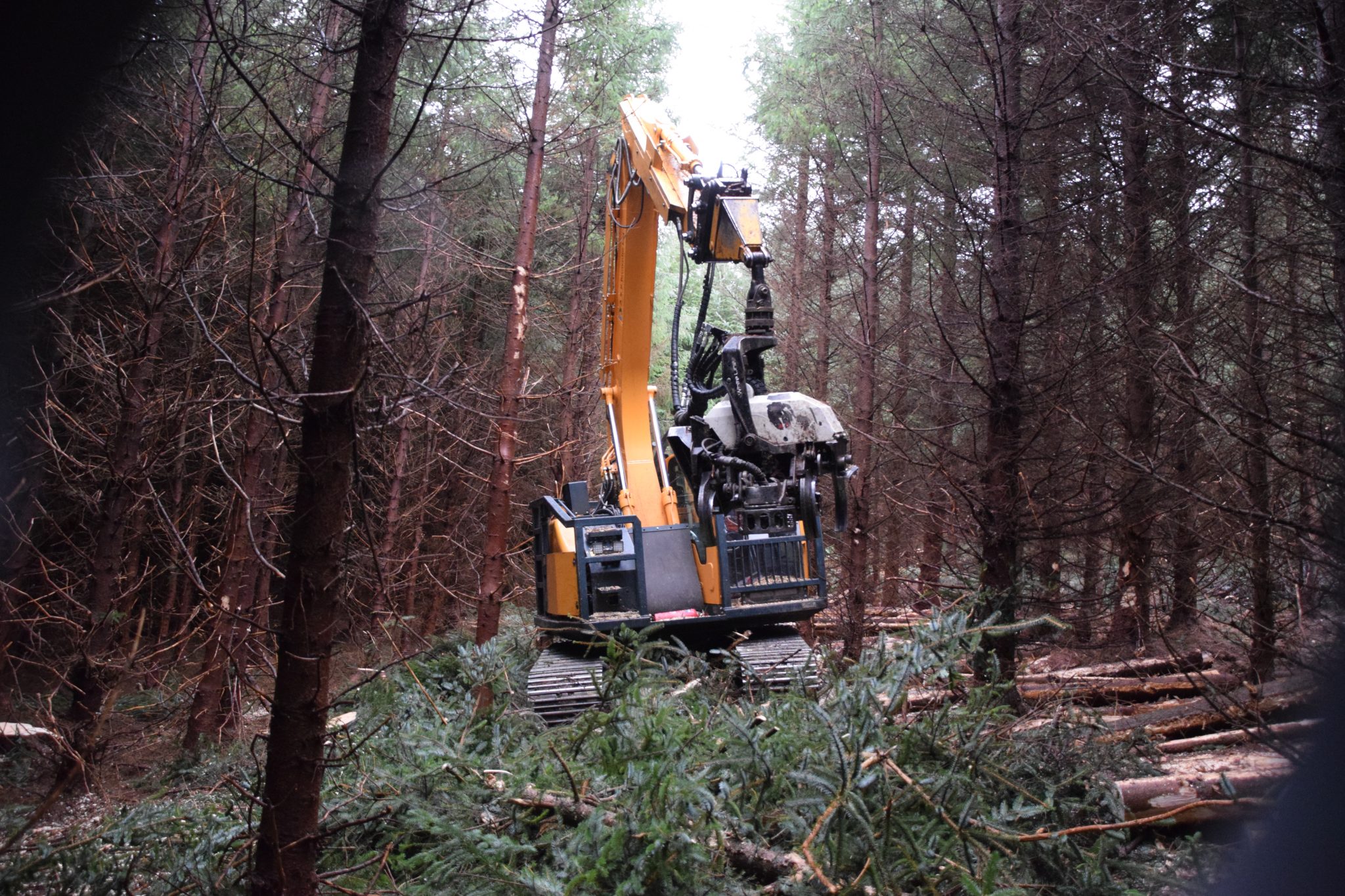 FMS, A Cut Above | Forest Machine Magazine