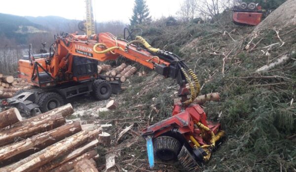 Latest Forestry Equipment For Sale | Forest Machine Magazine