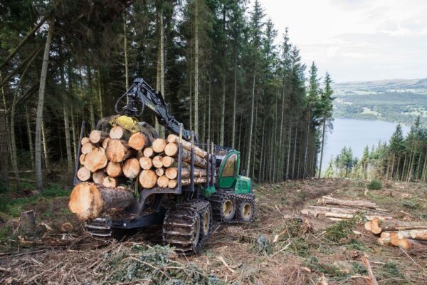 Forwarder Operator Required | Forest Machine Magazine