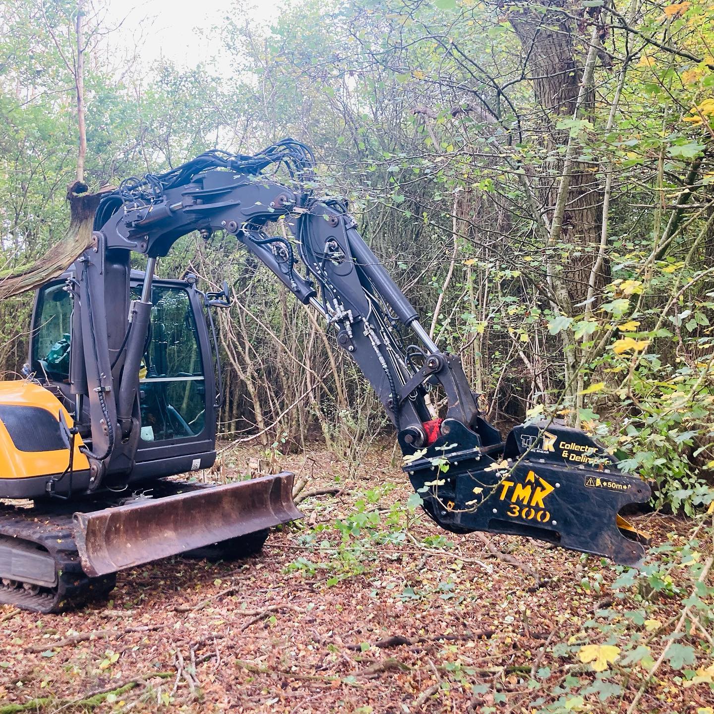 Day 16 - 24 Days Of Christmas Giveaway | Forest Machine Magazine