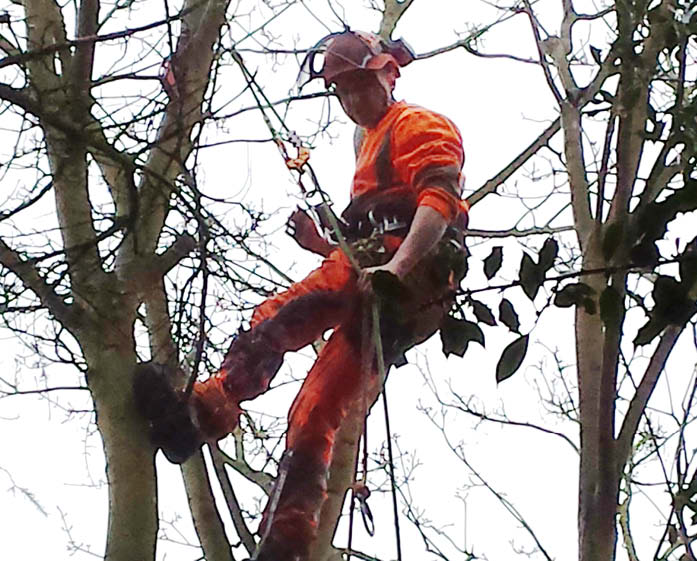 Forestry Chargehand Required | Forest Machine Magazine