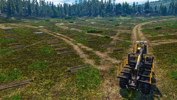 Tenstar simulator | Forest Machine Magazine