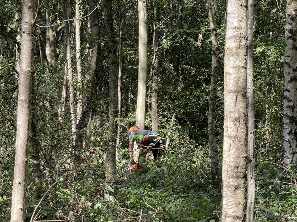 Logbullet Low Impact Mini Forwarder | Forest Machine Magazine