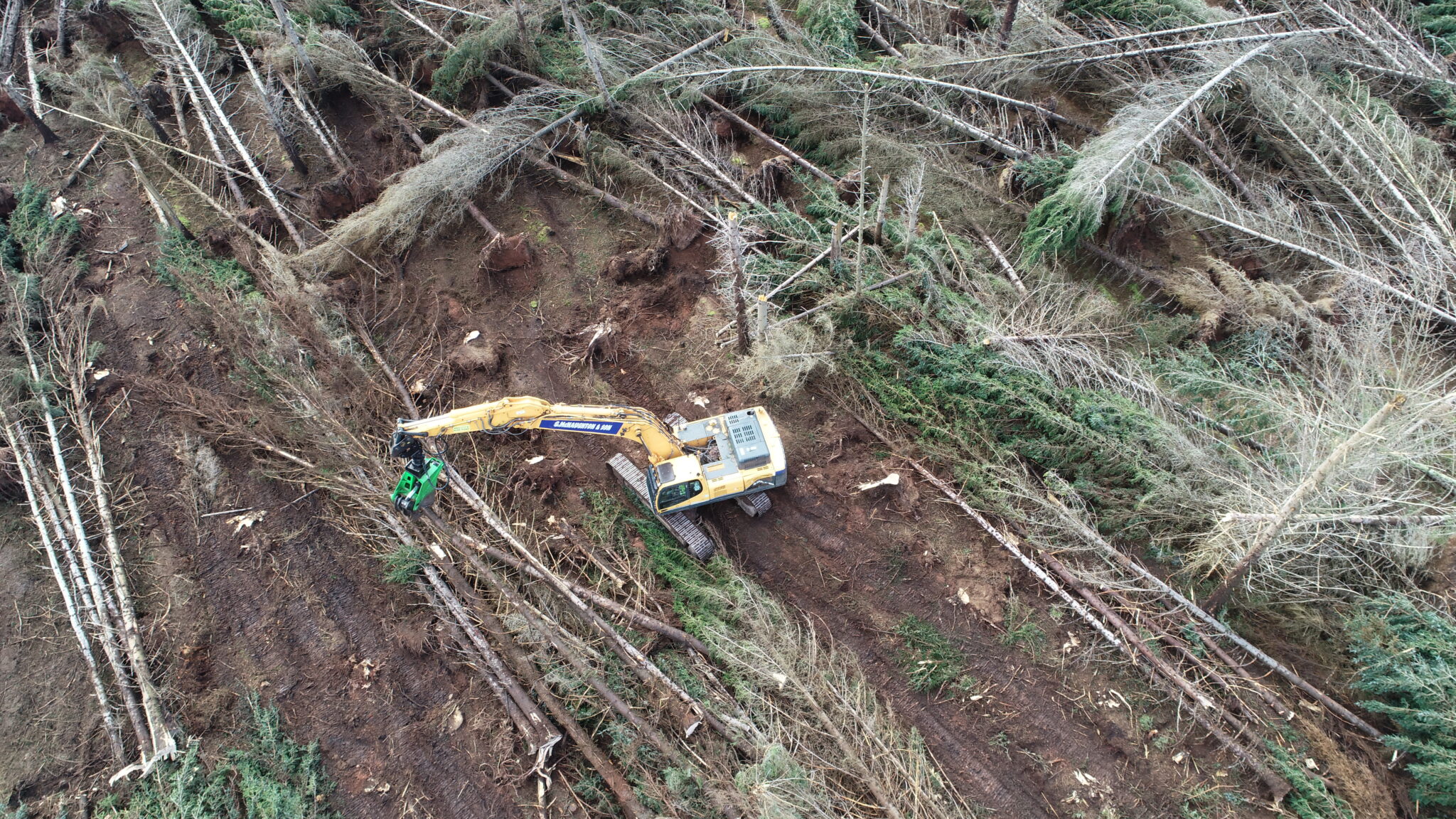 Tree Shear - Shear Brilliance | Forest Machine Magazine