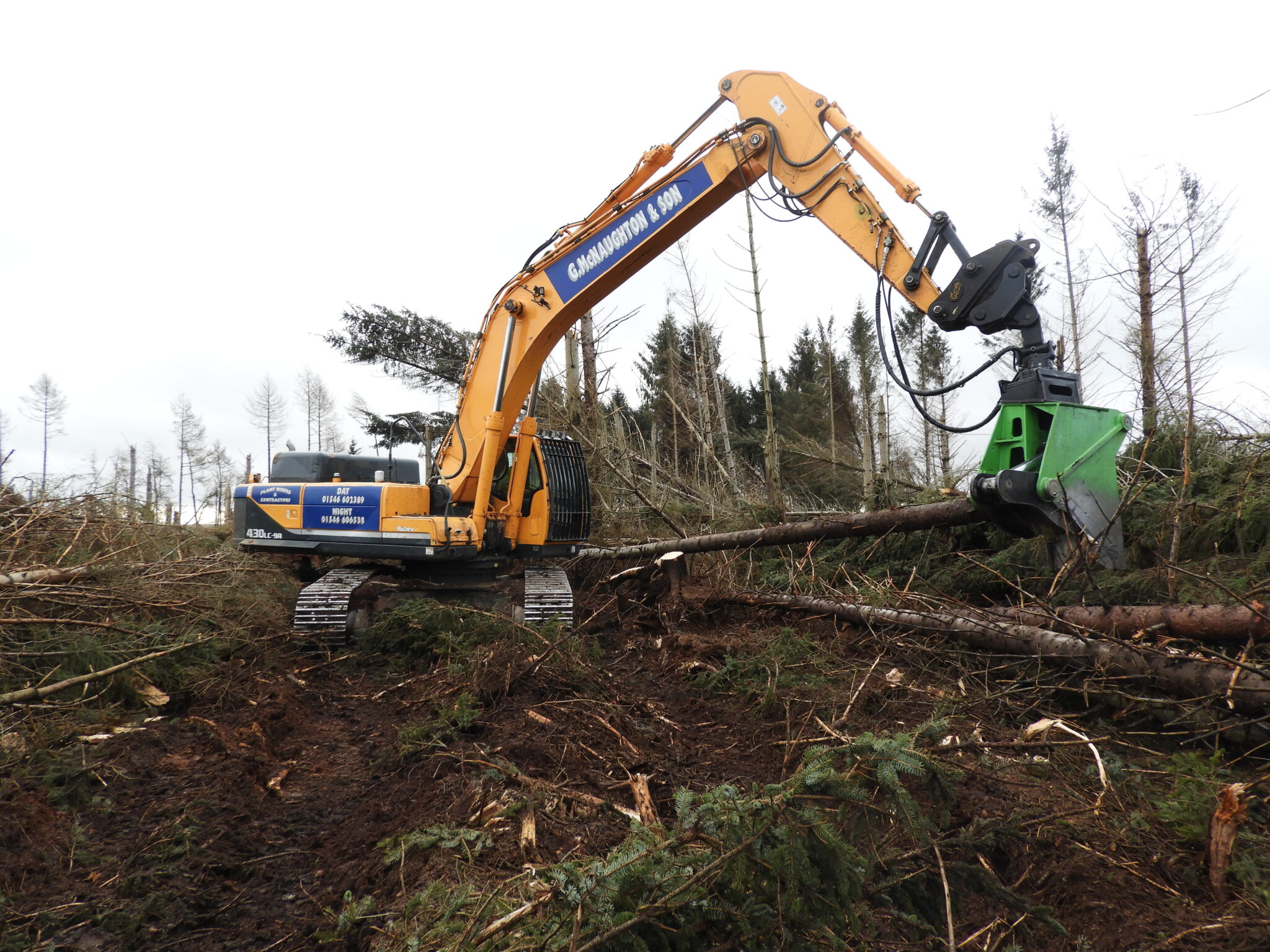Tree Shear - Shear Brilliance | Forest Machine Magazine