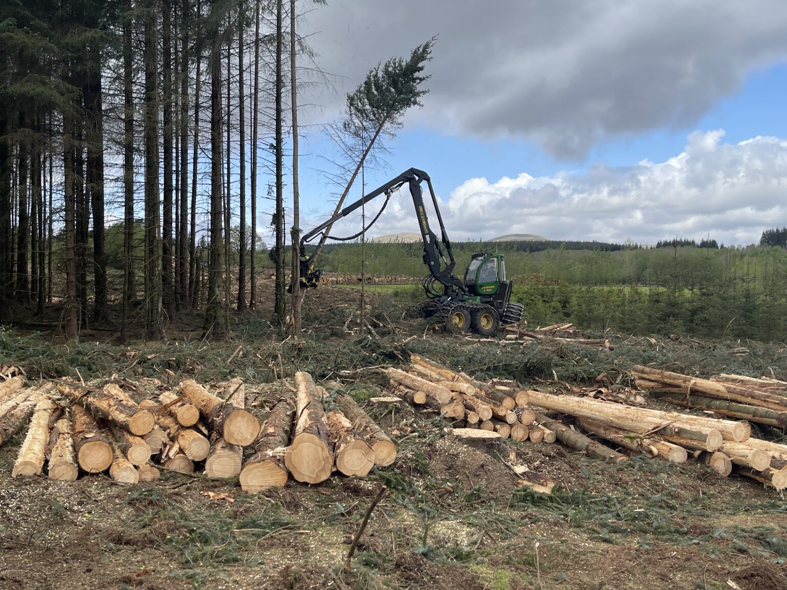 Jim Wilmer & Sons Timber Harvesting | Forest Machine Magazine