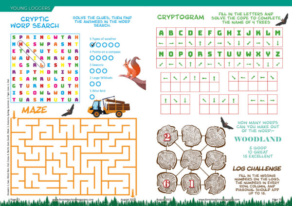 Young Loggers Puzzle Pages | Forest Machine Magazine