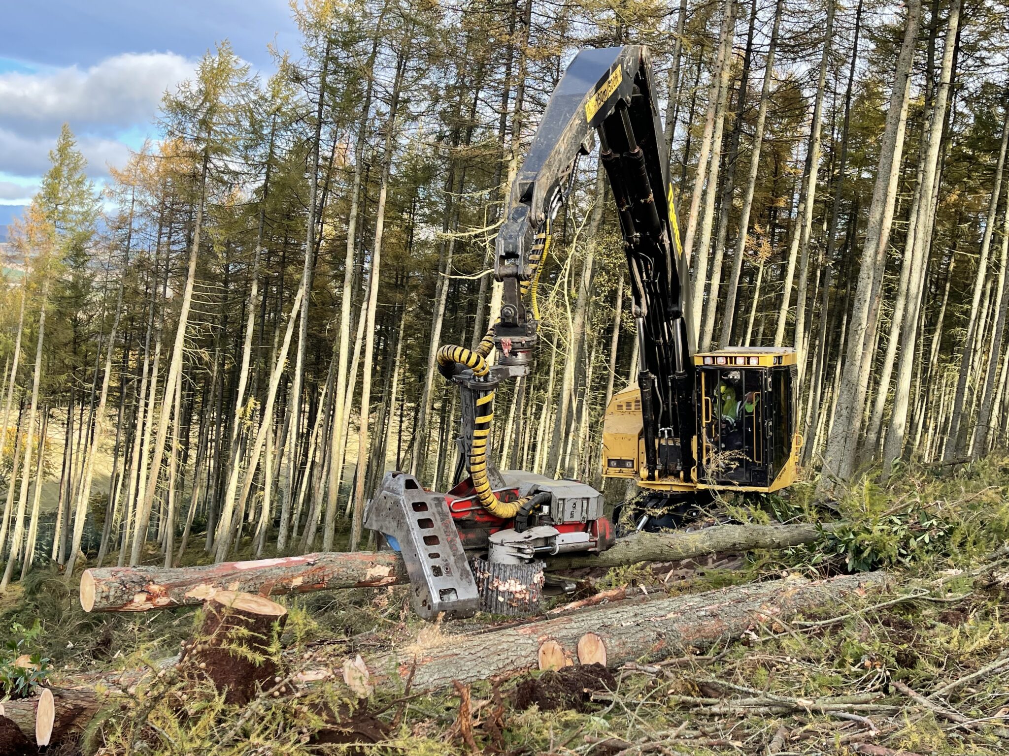 Forestry Jobs | Forest Machine Magazine | #homeoflogging