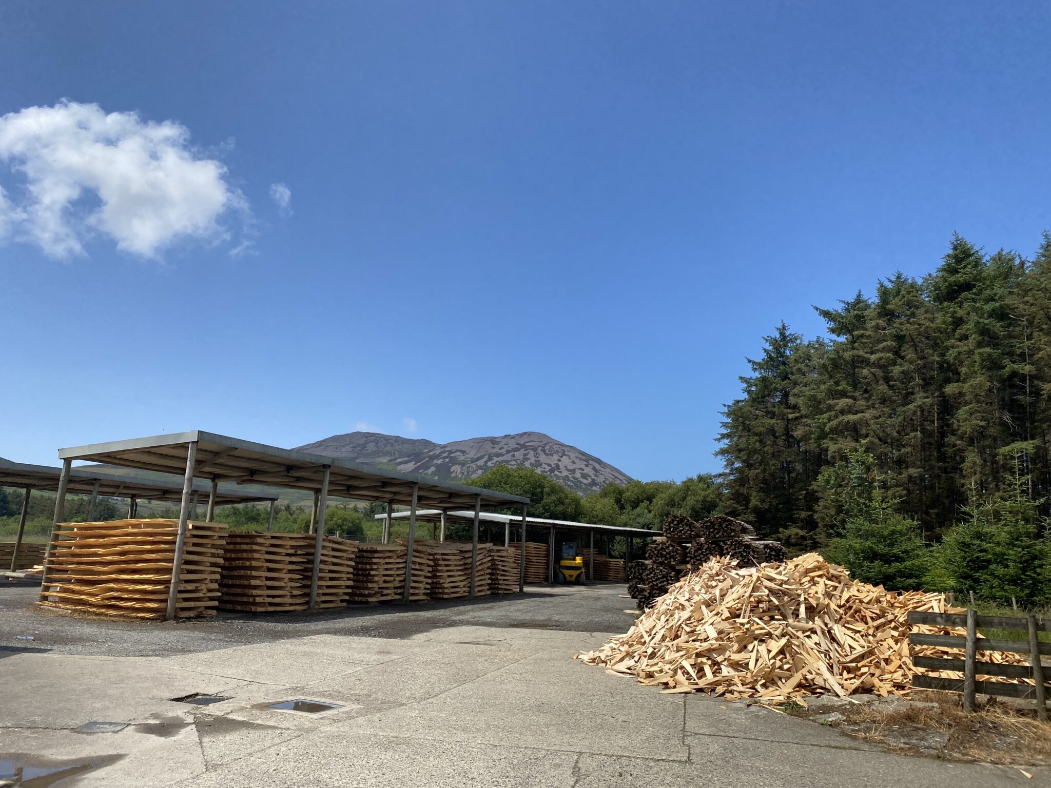 Glasfryn Fencing and Sawmill | From Seed To Sawmill | Forest Machine ...
