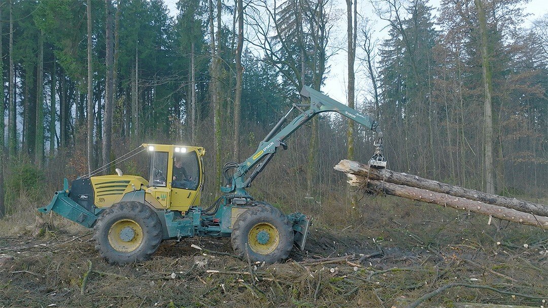 The Forest - A Place To Relax & Work | Forest Machine Magazine