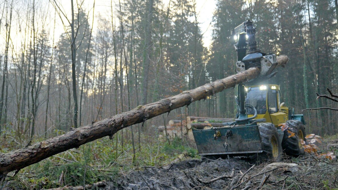 The Forest - A Place To Relax & Work | Forest Machine Magazine