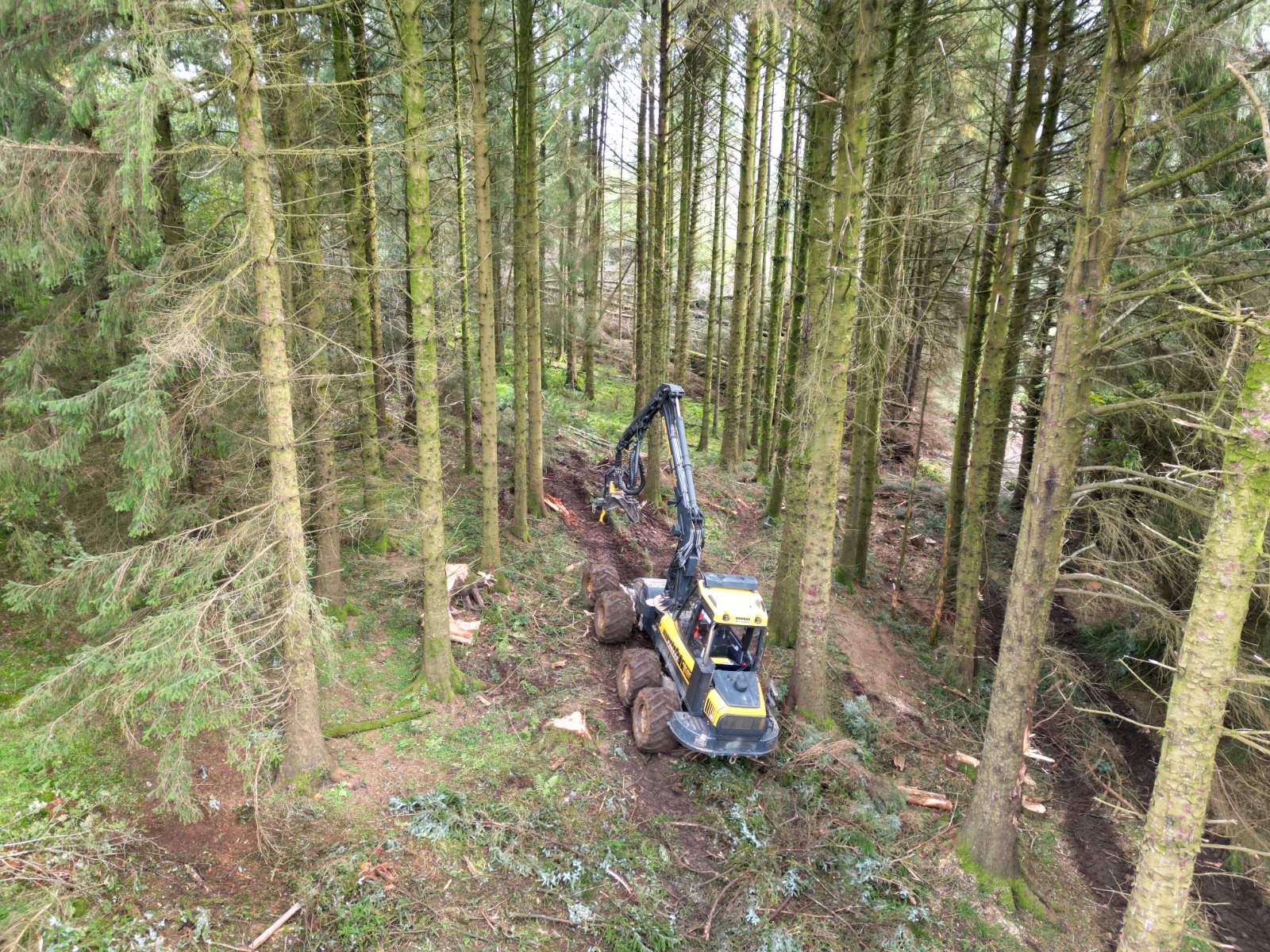 Mark Beach: Back in the Driving Seat | Forest Machine Magazine