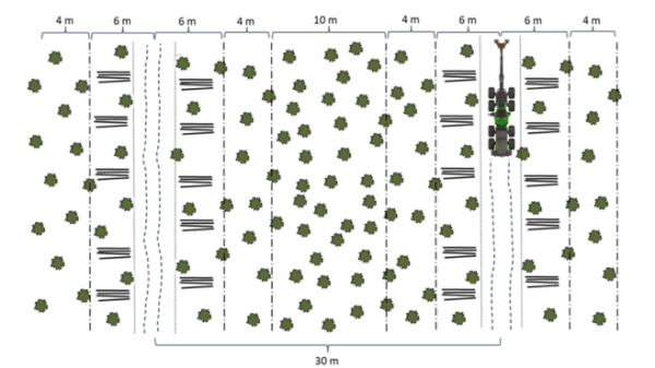 Latest Forestry News | Forest Machine Magazine | #homeoflogging