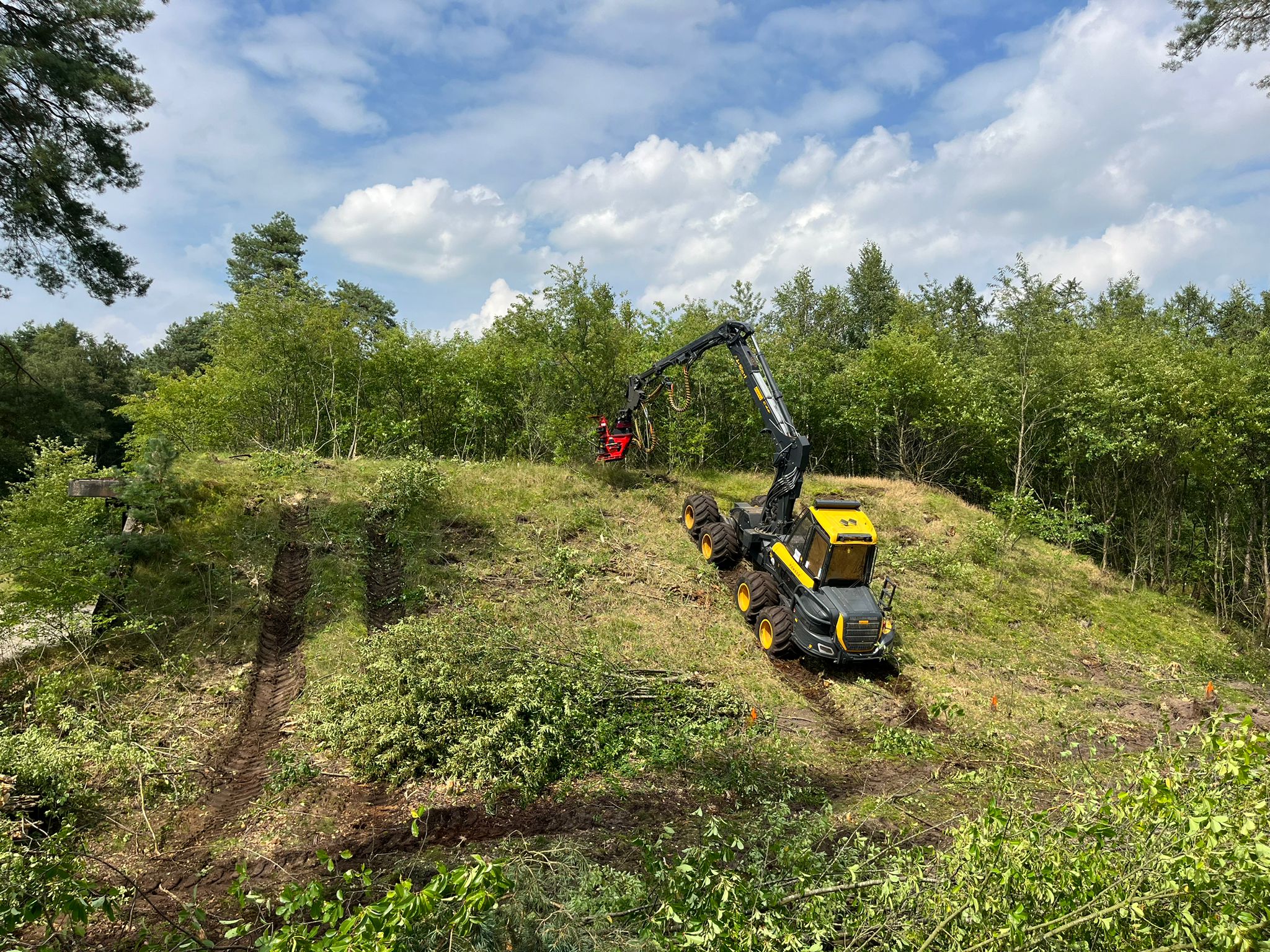 Ufkes Greentec Forestcutter 300 | Forest Machine Magazine