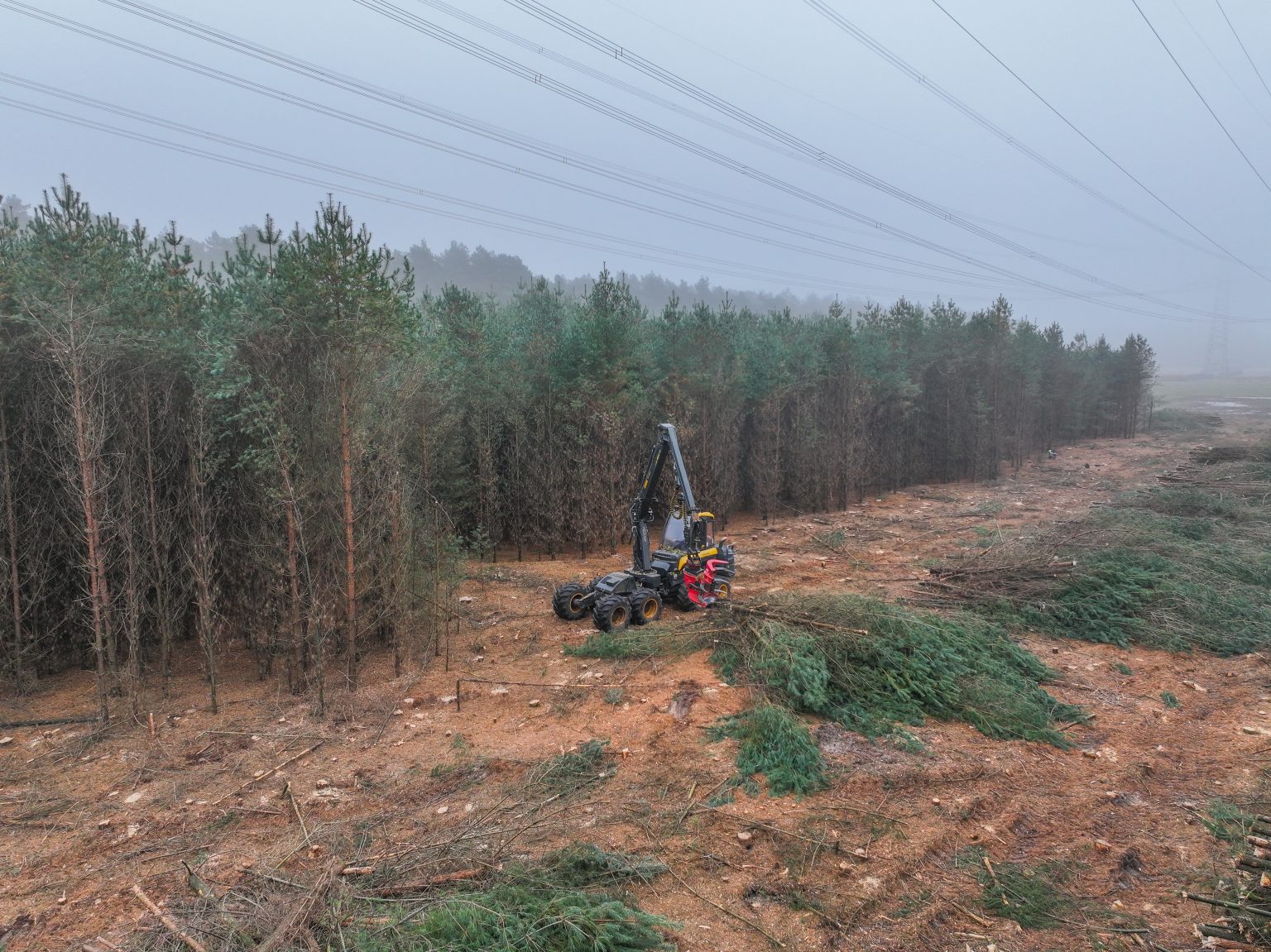 Ufkes Greentec Forestcutter 300 | Forest Machine Magazine