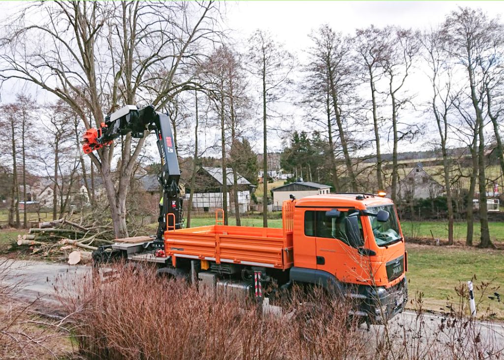 Woodcracker CS590 flexHead³ “Innovation of the Year” | Forest Machine ...