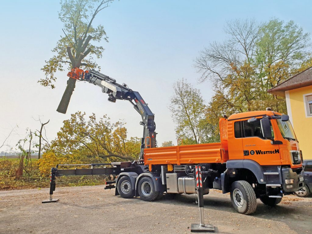 Woodcracker CS590 flexHead³ “Innovation of the Year” | Forest Machine ...