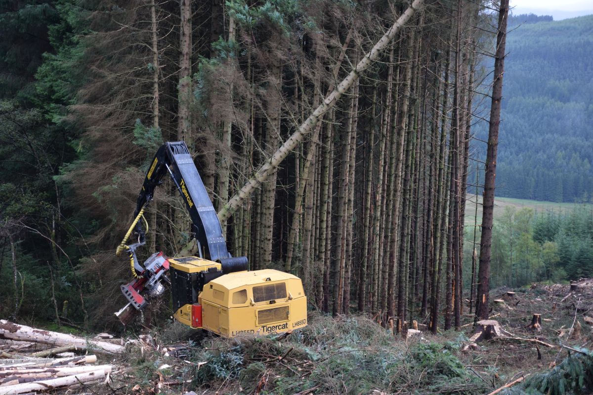 ResourceWise-2026 Predictions for Pulp, Paper, and Forest Products ...